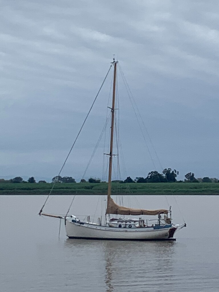 24ft BCC boot stripe advice sought - Bristol Channel Cutter - Sam L Morse